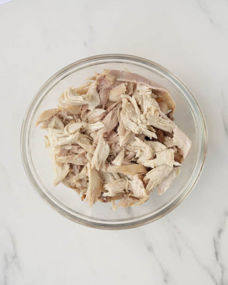 Chicken Torta - What's Gaby Cooking