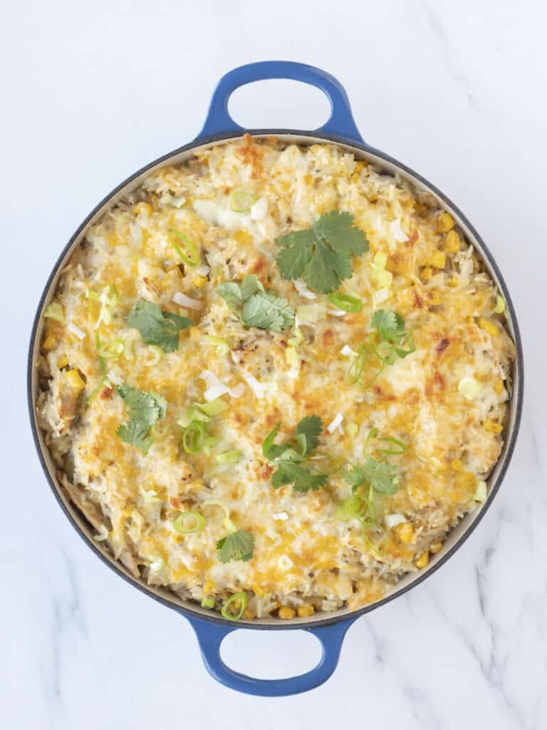 Cheesy Chicken And Rice Casserole - What's Gaby Cooking