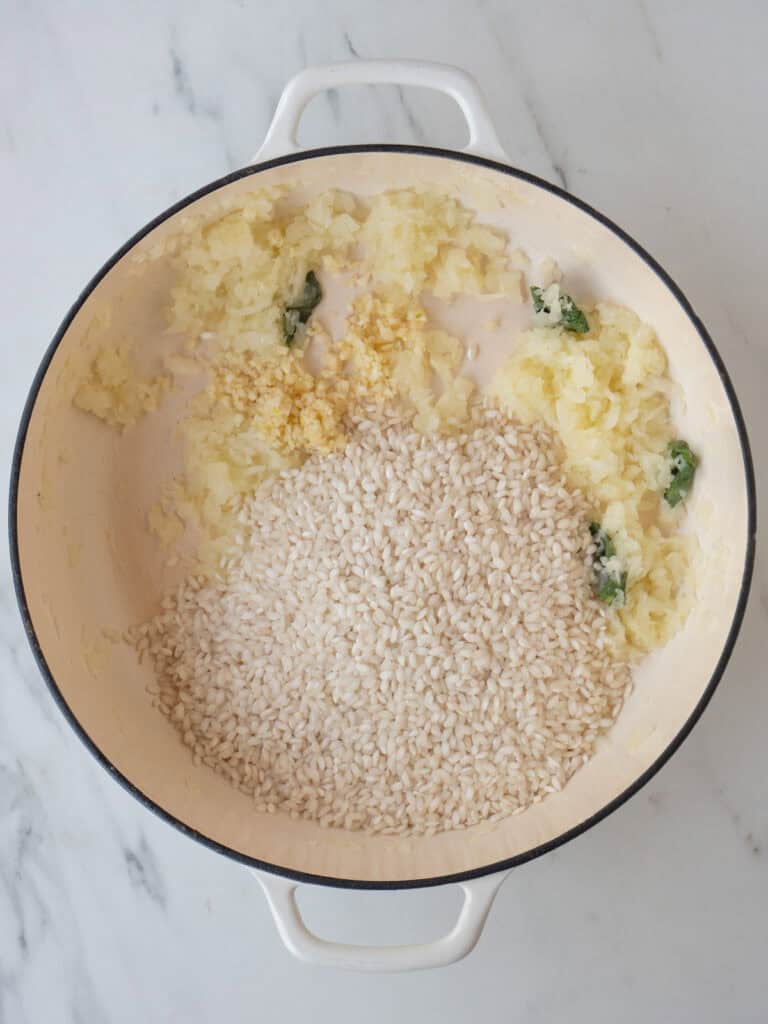 Baked Squash Risotto - What's Gaby Cooking