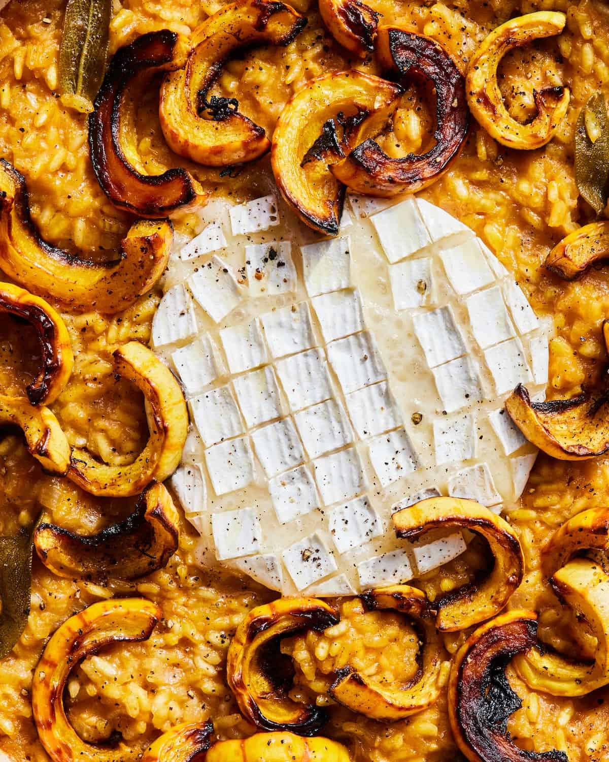 Baked Squash Risotto - What's Gaby Cooking