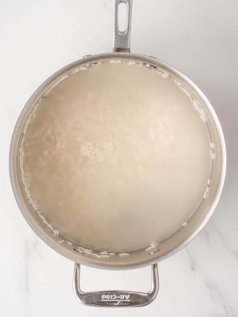 Cilantro Rice - What's Gaby Cooking