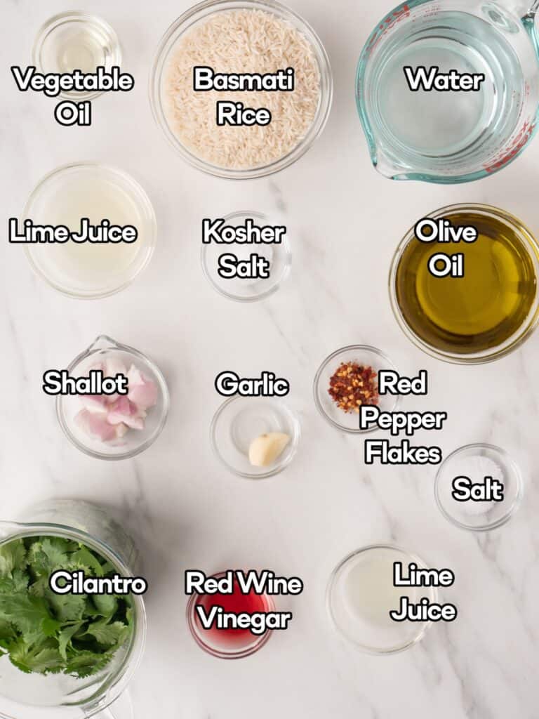 Cilantro Rice - What's Gaby Cooking