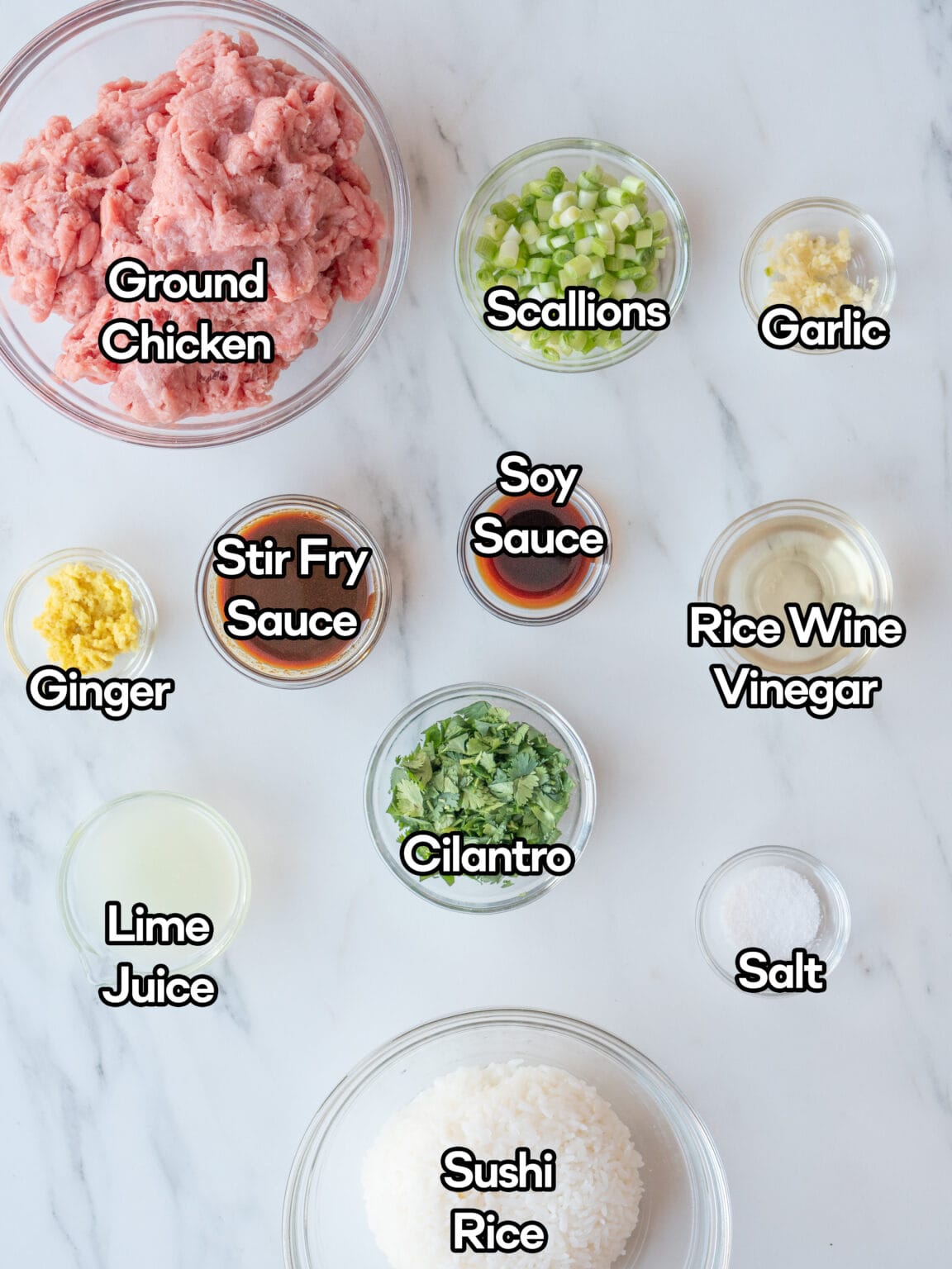 Cilantro Lime Chicken Stir Fry - What's Gaby Cooking